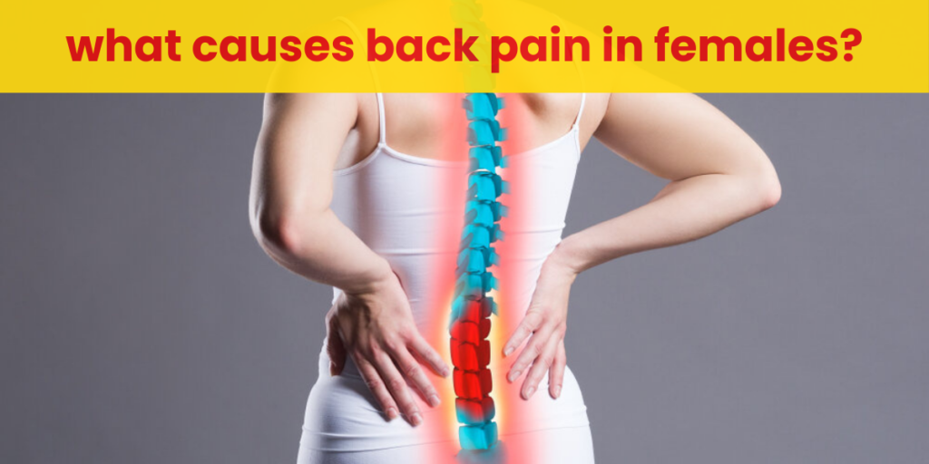 What Causes Back Pain In Females?